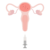 IUI with 2 Follicles: A Guide to Increased Success